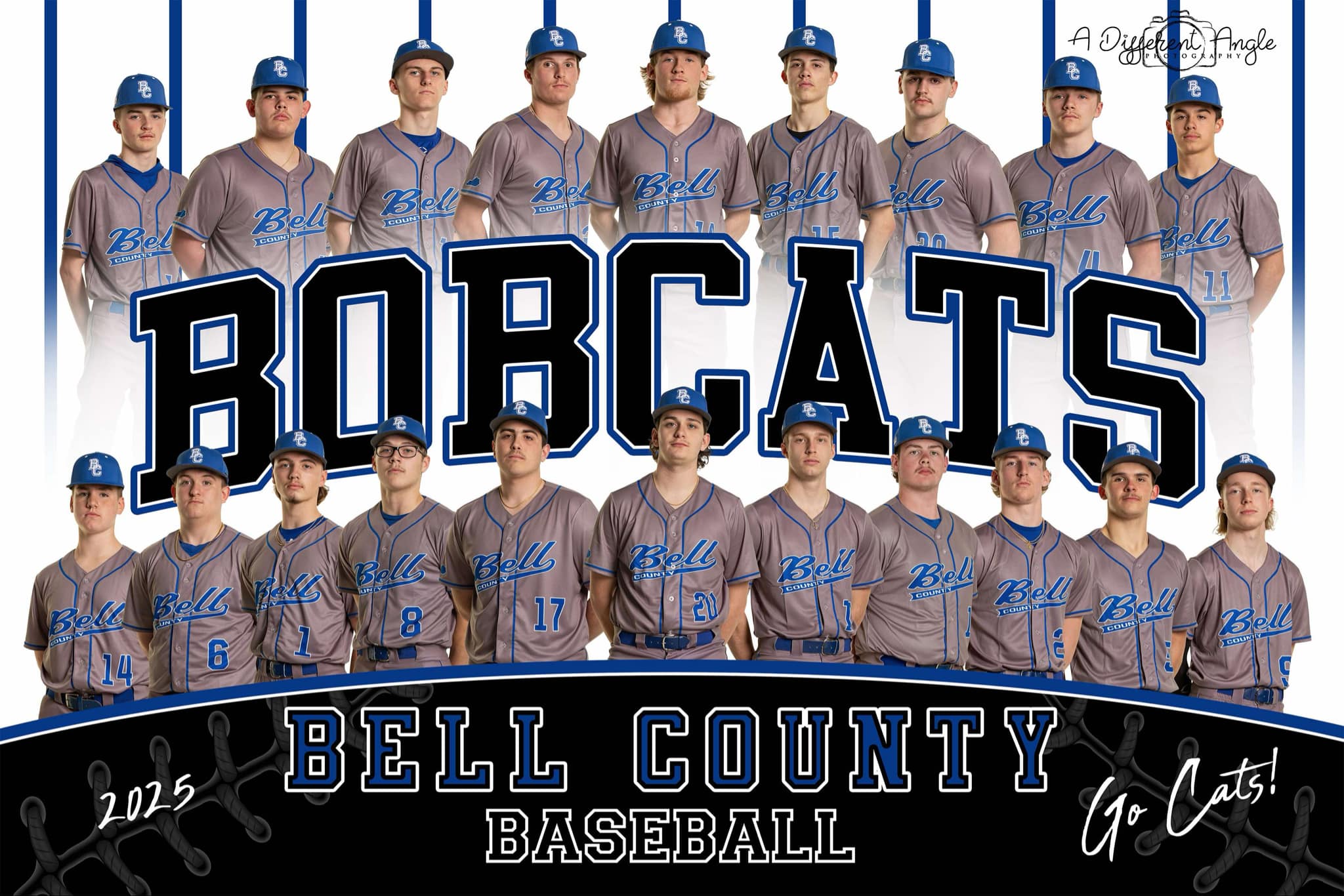 Bobcats hope to take next step after last season’s turnaround ...